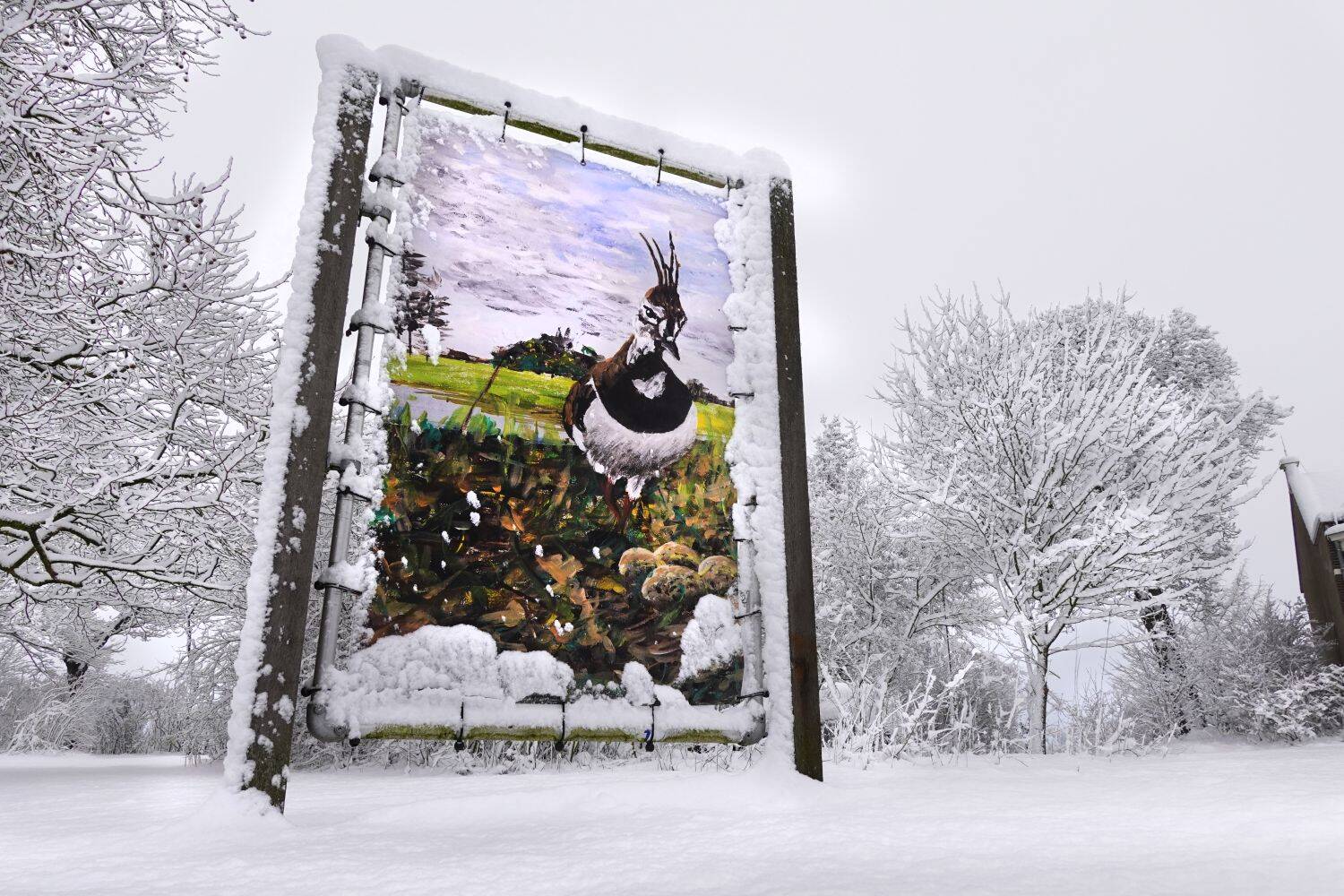 Akkrum-Nes in winterstand door dertig centimeter dik pak sneeuw ...